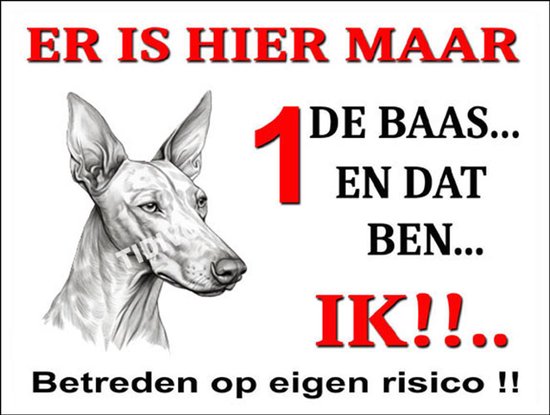 Pharaohond 26 – Met 4 Gaatjes + 4 Pluggen + 4 RVS Schroeven | bol