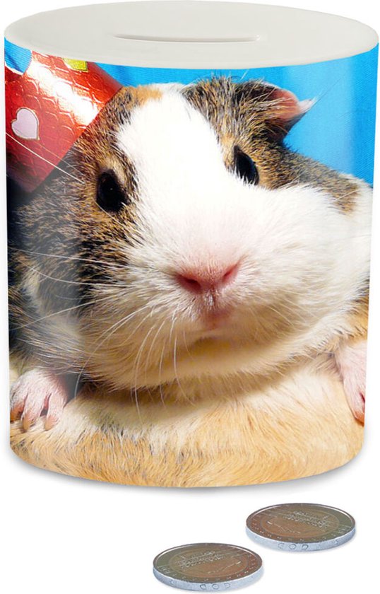 Spaarpot - Spaarblik - Cavia - Grappig - Kroon - Spaarpotten ...