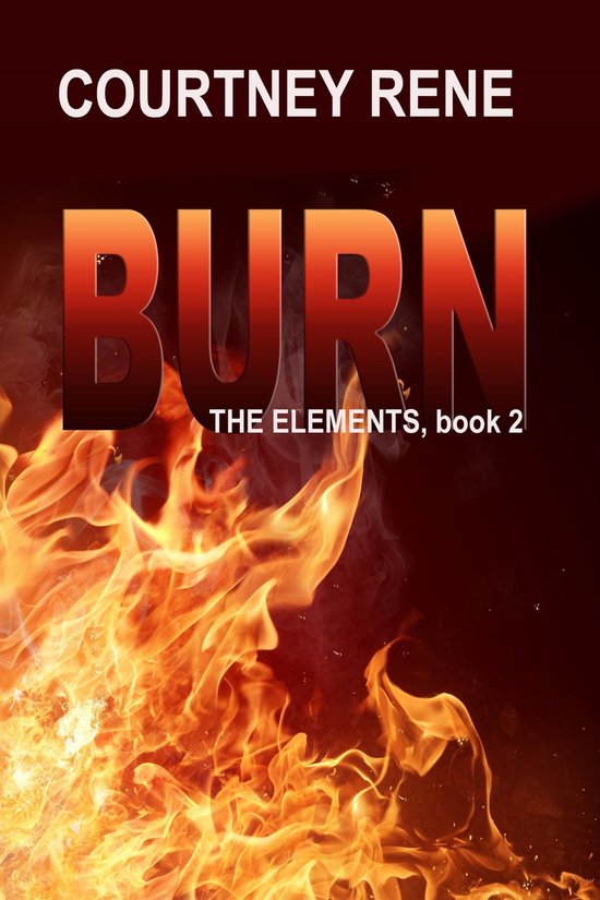 Burn (ebook), Courtney Rene | 9781624206993 | Boeken | bol.com