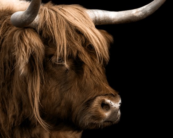 Diamond painting - Vierkante steentjes - Diamond painting volwassenen ...