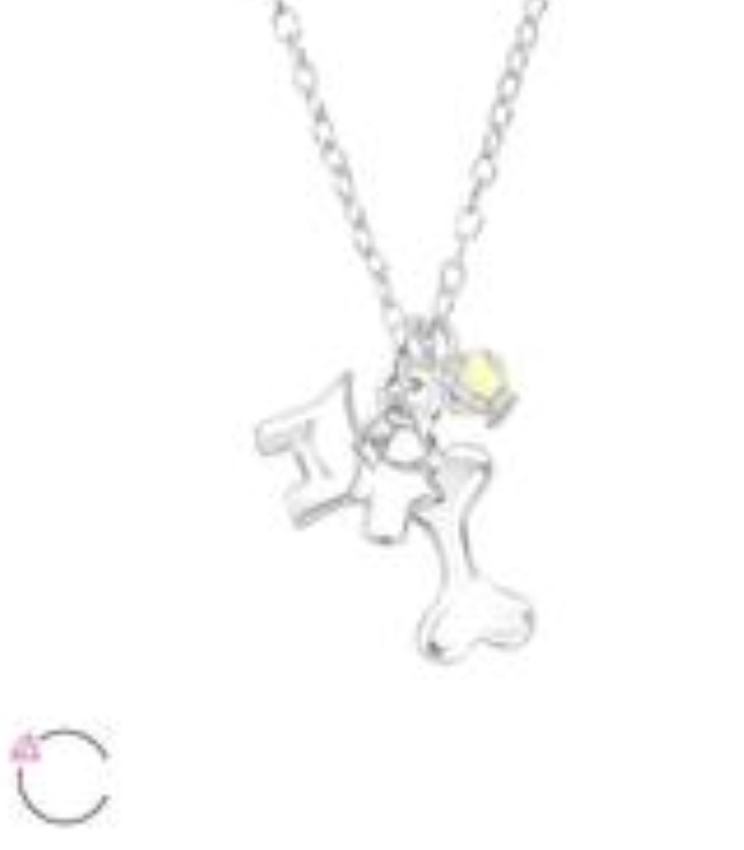 Joy|S - Zilveren hondje botje bedels met Swarovski kristal - ketting 39 cm | bol.com