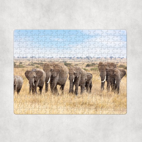 Puzzel - Olifanten 2 - 252 stukjes | bol.com