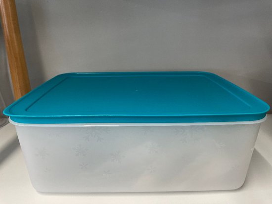 Tupperware Iglo (diepvries) doos groot hoog 5,7 liter | bol.com
