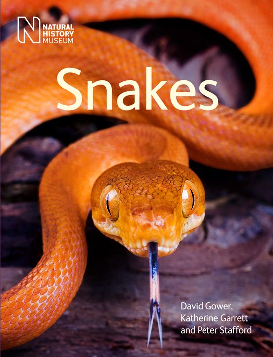 Snakes, David Gower | 9780565092665 | Boeken | bol.com