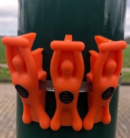 Bertus Haak ring met 3 haken | bol.com