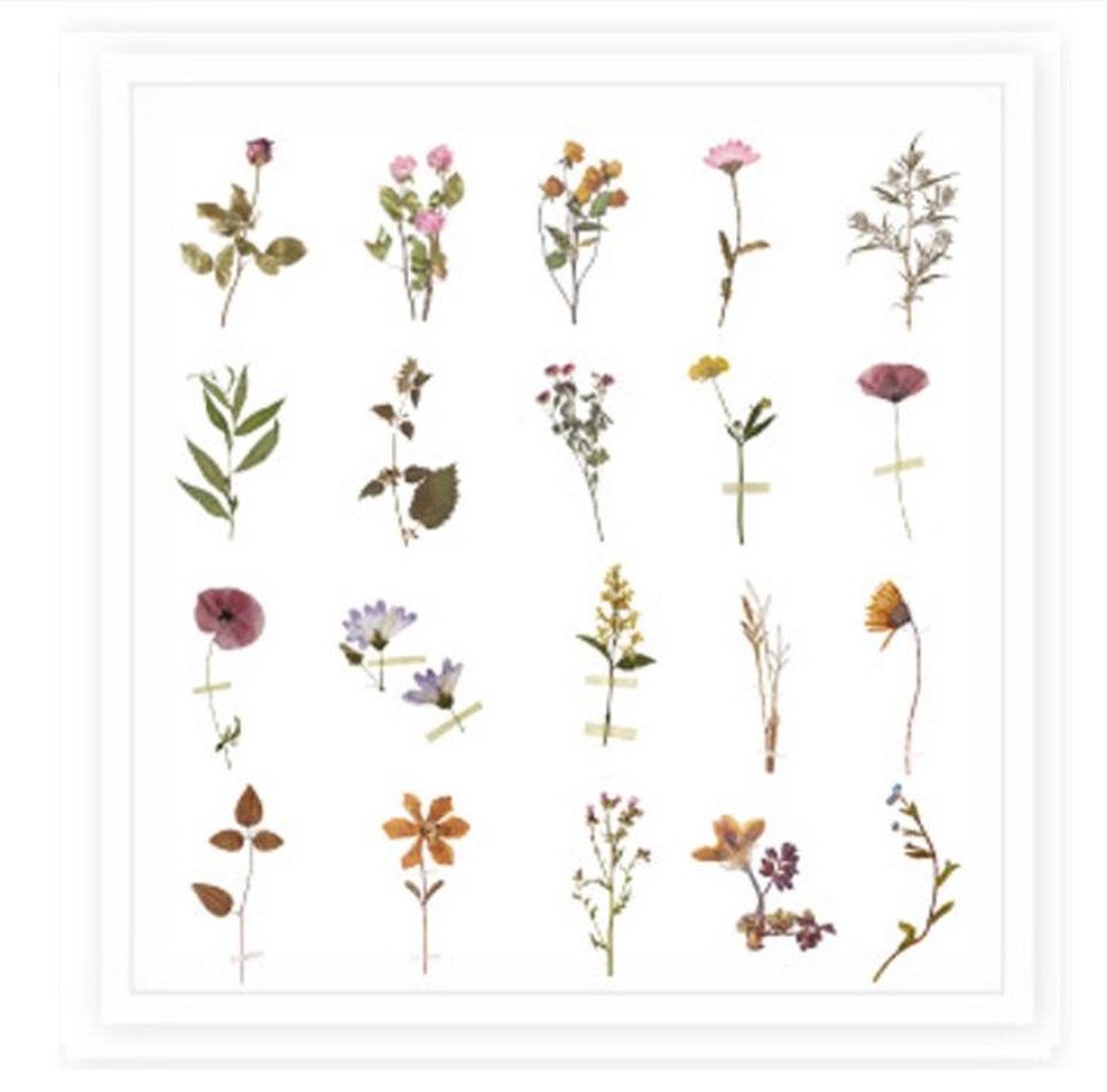 stickers Herbarium Bloemen decoratie 40 stuks | bol.com