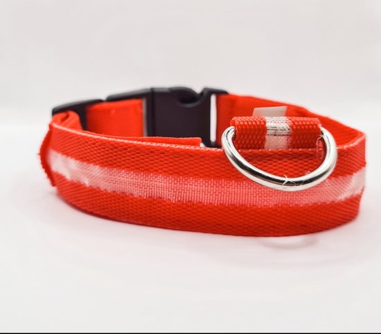LED halsband hond | Maat L | 45 - 52 cm | USB oplaadbaar | Rood ...