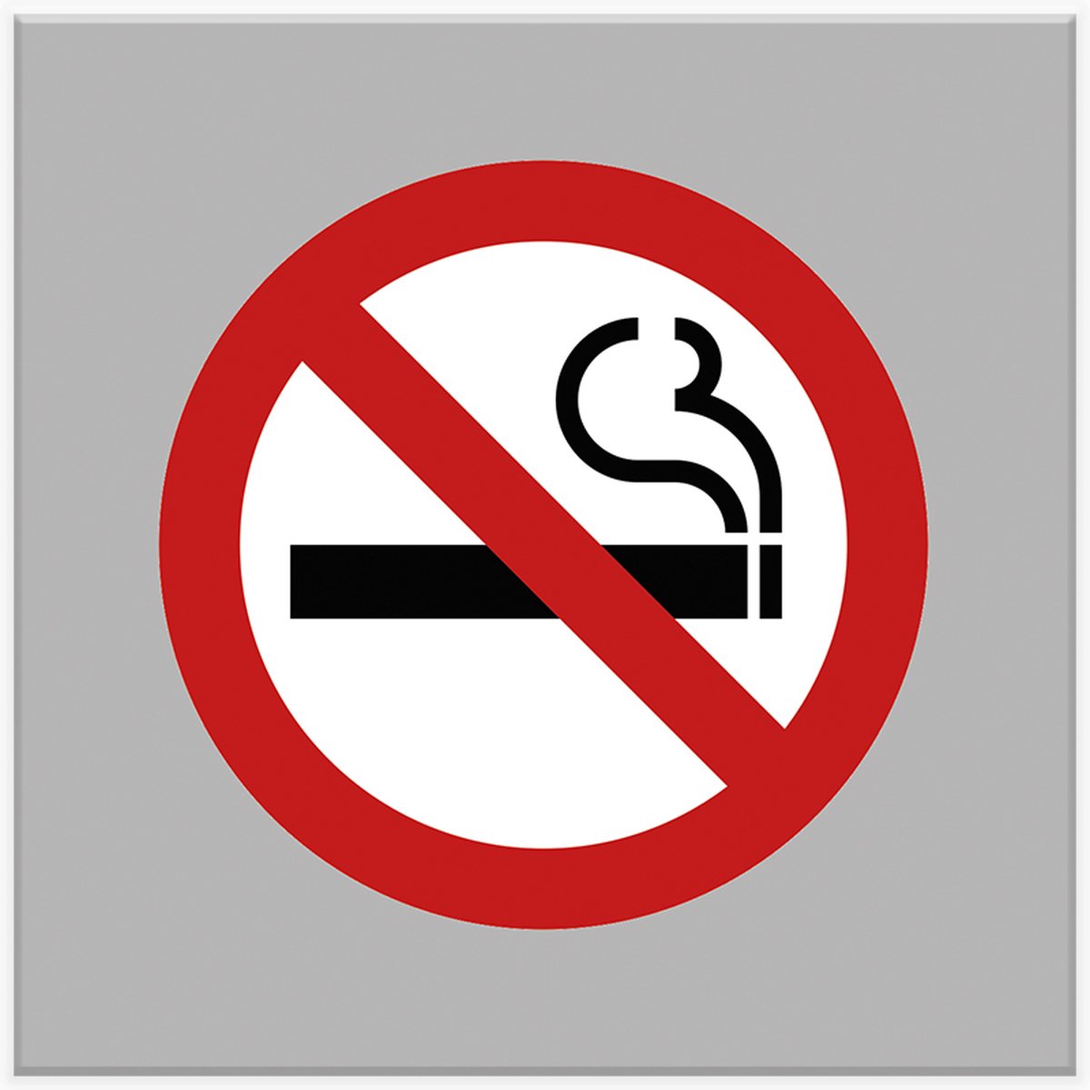 Pictogram/ bord | Rookverbod | 10 x 10 cm | Bordje | Grijs | Verboden ...