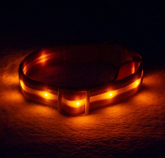 BlackBear - Oranje LED Halsband voor Honden Small / Oranje Verlichte ...
