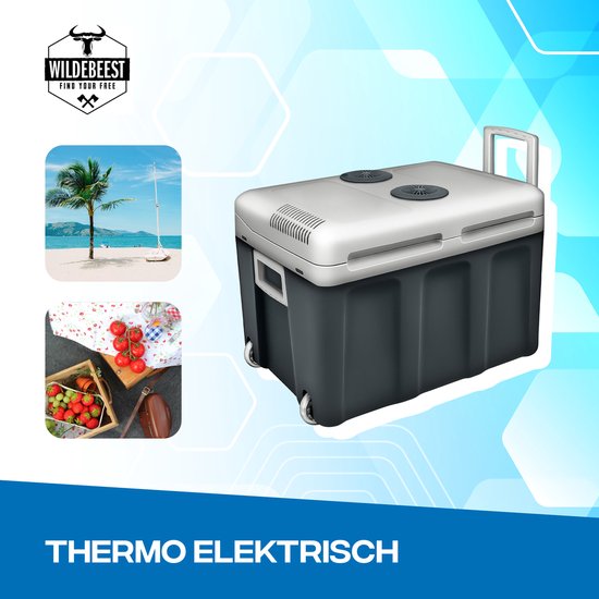 Koelbox met wielen voor auto & camping warm en koud 40L - Frigobox ...