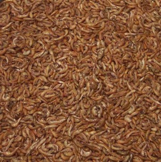 Excellent Gammarus - 25 L | bol