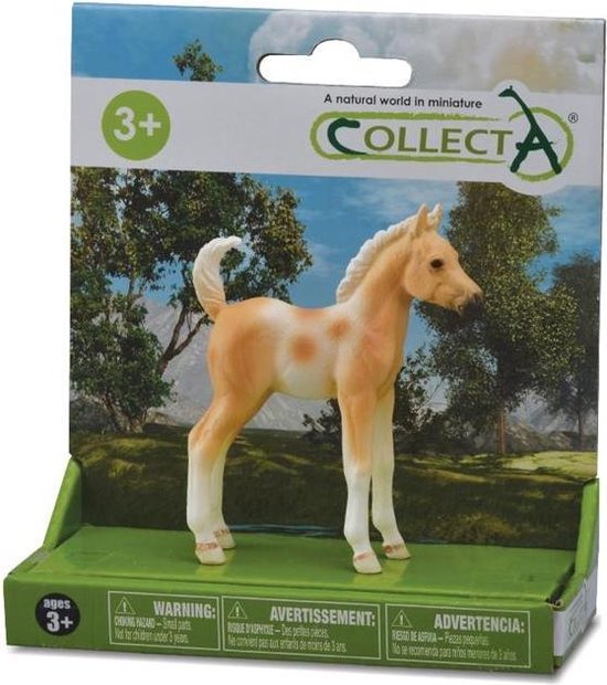 Collecta Horses: Pinto Foal Playset 8 Cm Marron Clair | bol.com
