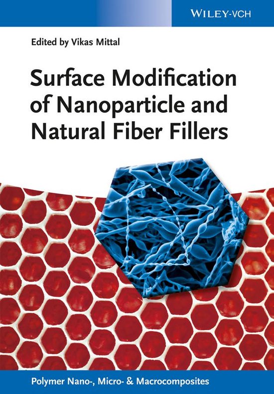 Polymer Nano-, Micro- and Macrocomposites - Surface Modification of ...