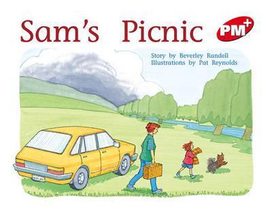 Sam's Picnic | 9780170095884 | Beverley Randell | Boeken | bol.com