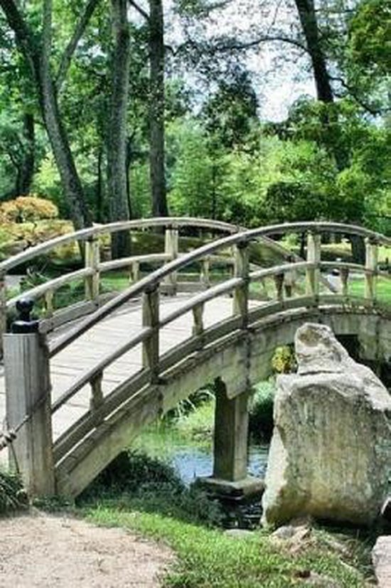 Lined Notebook, Bridge Paperback Makers | 9781077014145 | Boeken | bol.com