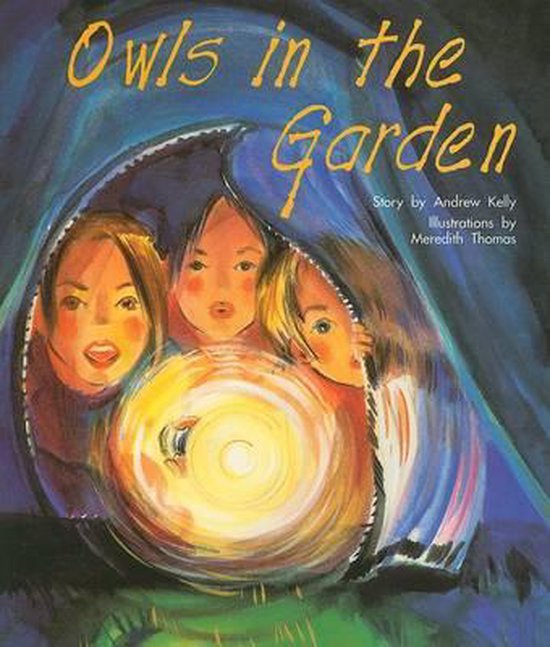Rigby PM Collection- Owls in the Garden | 9780763557461 | Rigby ...