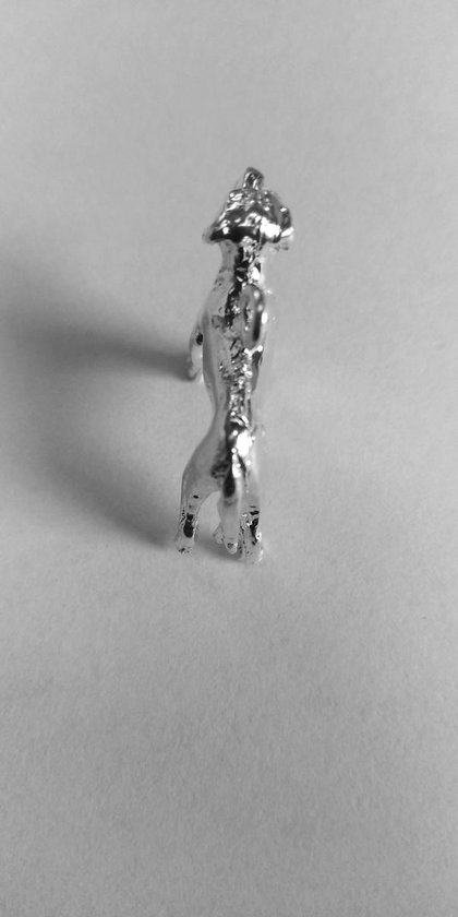 Rhodesian Ridgeback hanger, grote maat | bol