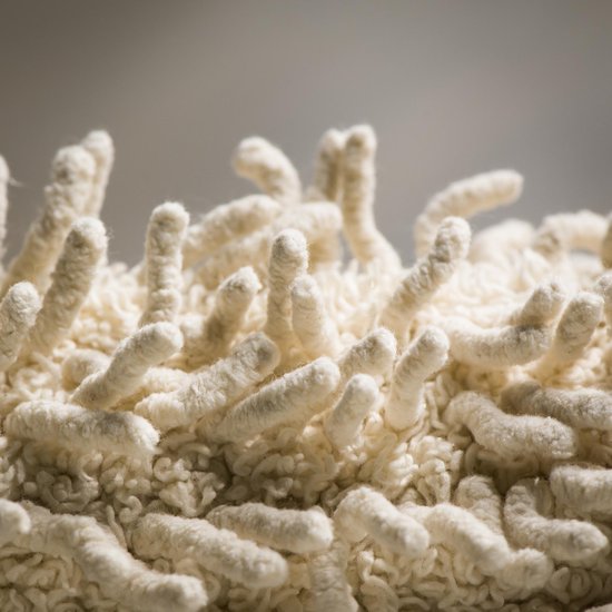 VELCE BM 60X 90 BEIGE | bol.com