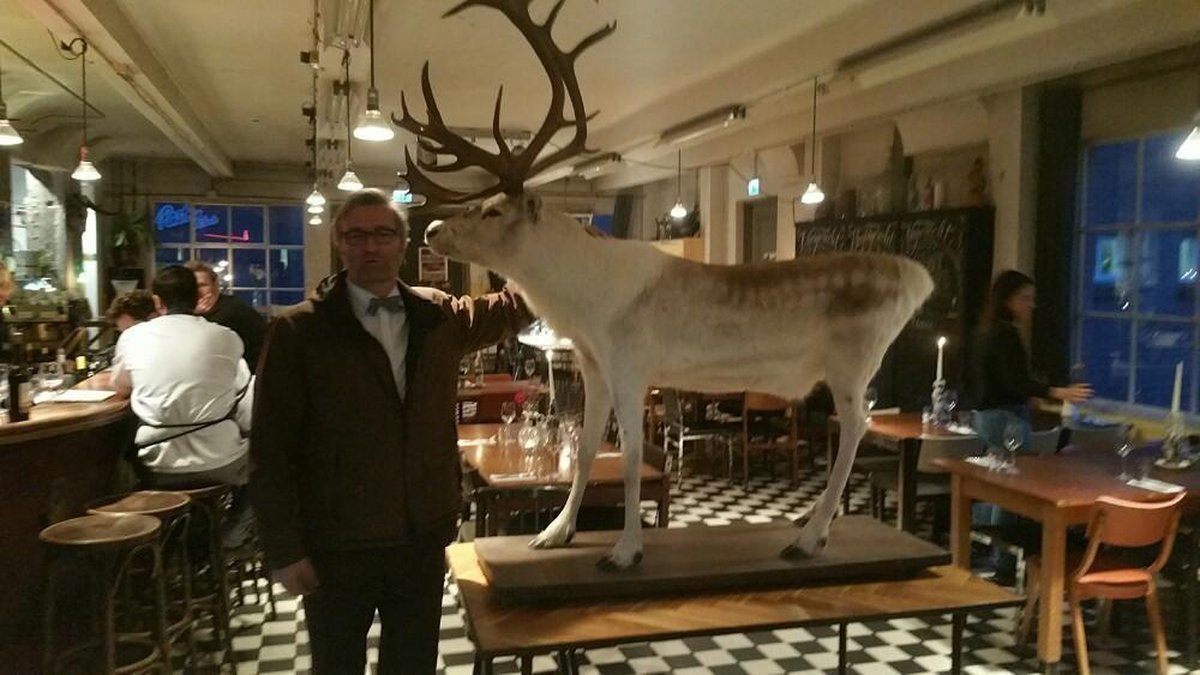 Opgezet rendier| rendier|rudolf| rendier met gewei | bol.com