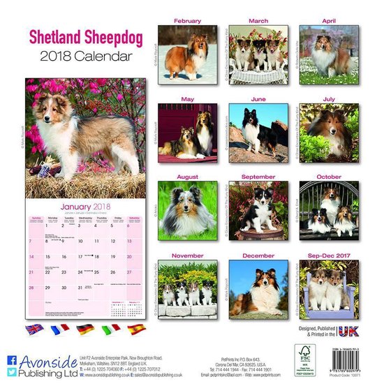 Shetland Sheepdog Calendar 2018 | bol.com