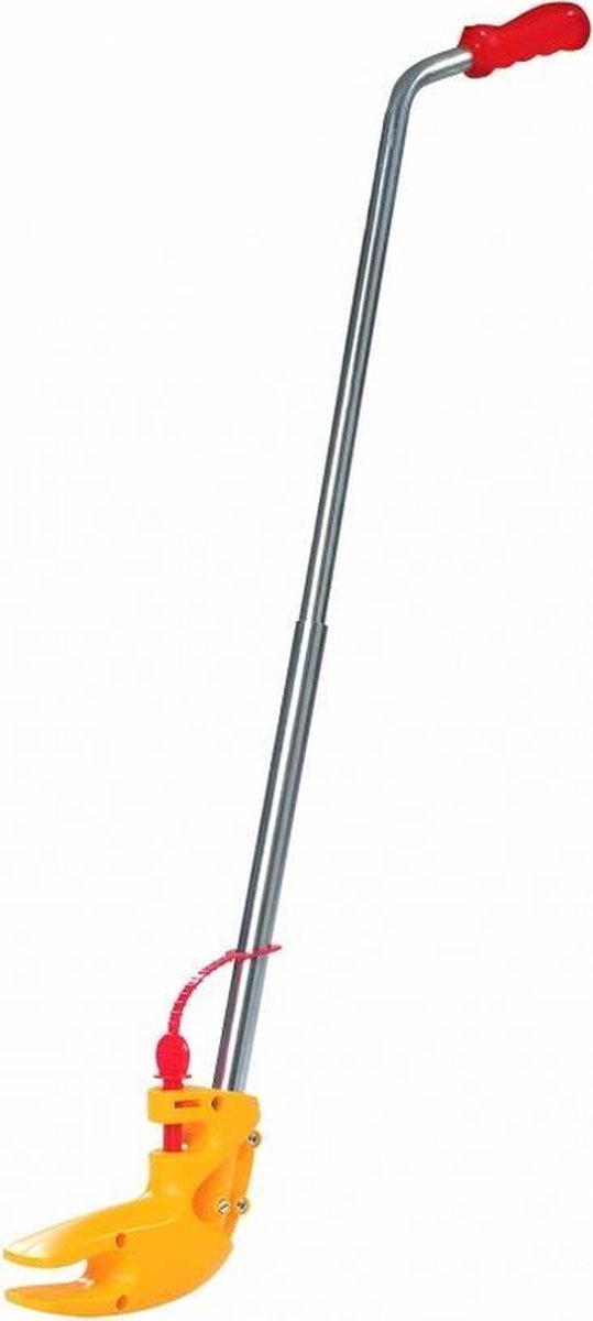 BIG Push-Pole | bol.com