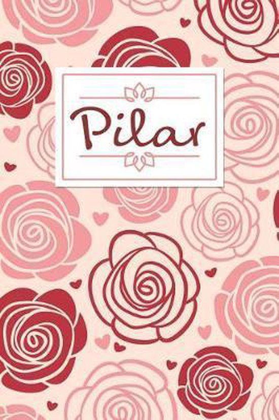 Pilar, Rose Cover Notebooks | 9781098608156 | Boeken | bol.com