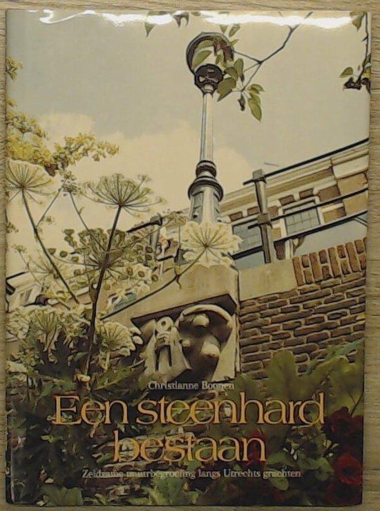 Een steenhard bestaan, Christianne Boonen | 9789061070566 | Boeken | bol
