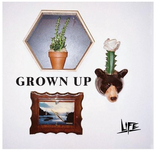 Grown Up, Life | Muziek | bol