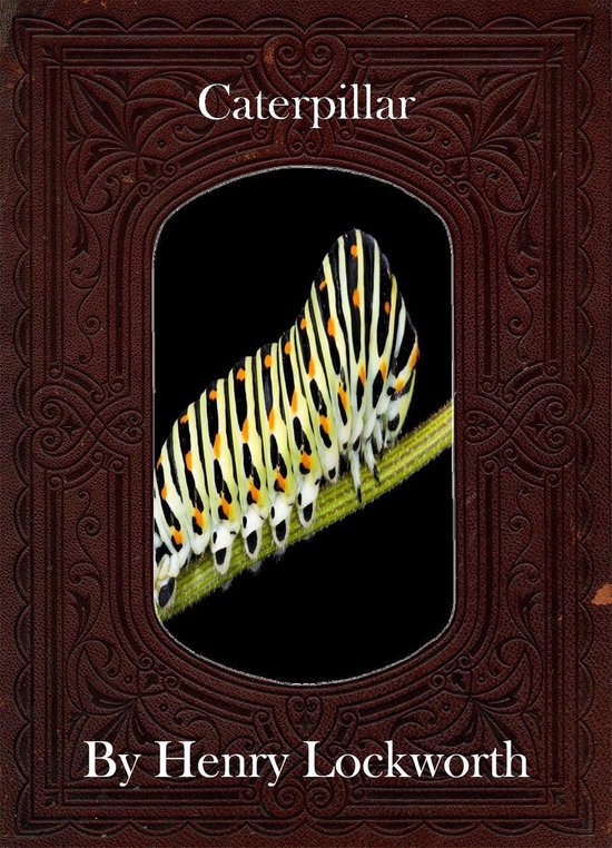 Caterpillar (ebook), Henry Lockworth | 1230001127041 | Boeken | bol.com