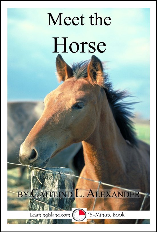 15-Minute Books - Meet the Horse: A 15-Minute Book for Early Readers (ebook),... | bol.com
