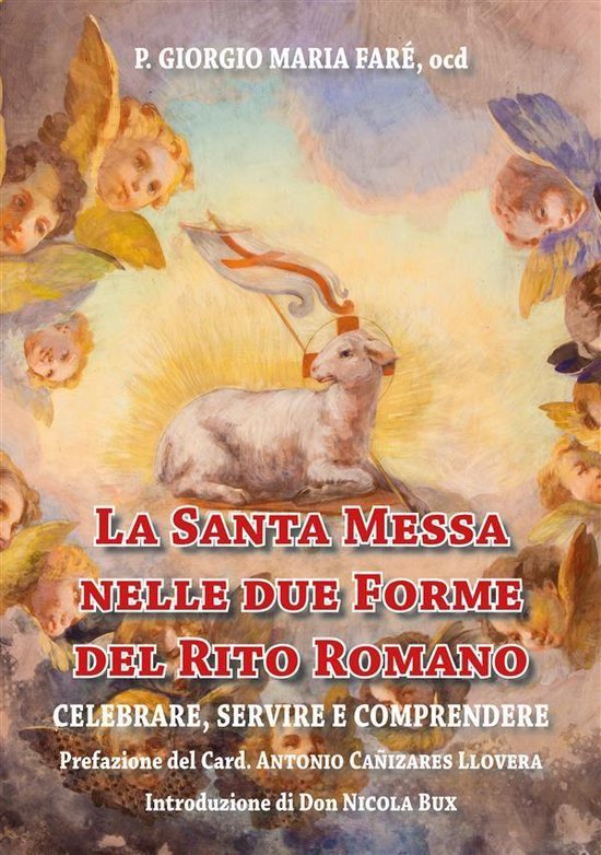 La Santa Messa nelle due forme del Rito Romano (ebook), P. Giorgio ...