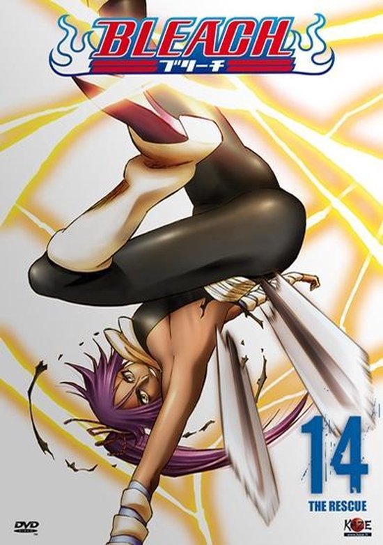 Bleach 14 (Dvd), Niet gekend | Dvd's | bol
