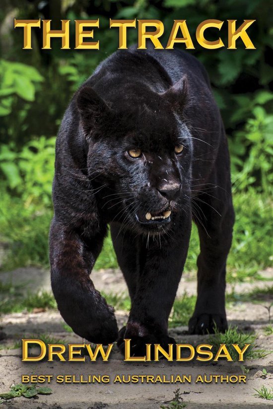 Ben Hood Thrillers 27 - The Track (ebook), Drew Lindsay | 9781310657009 ...