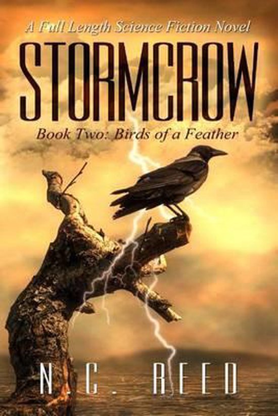 Stormcrow- Stormcrow, N C Reed | 9780692809884 | Boeken | bol