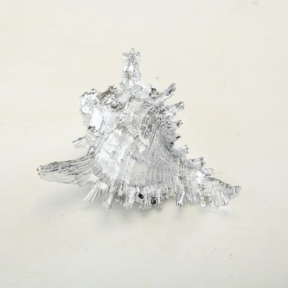 Schelp - Zeefruit - Decoratie - 2 set - zilver - 14 cm | bol.com