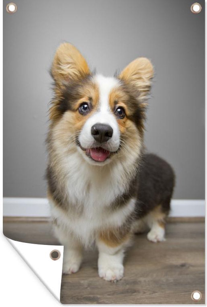 Affiche de jardin chiot corgi moelleux toile en vrac 120x180 cm - Toile ...