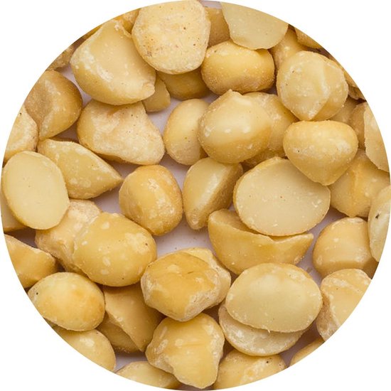 Macadamia noten Raw 1 kg | bol