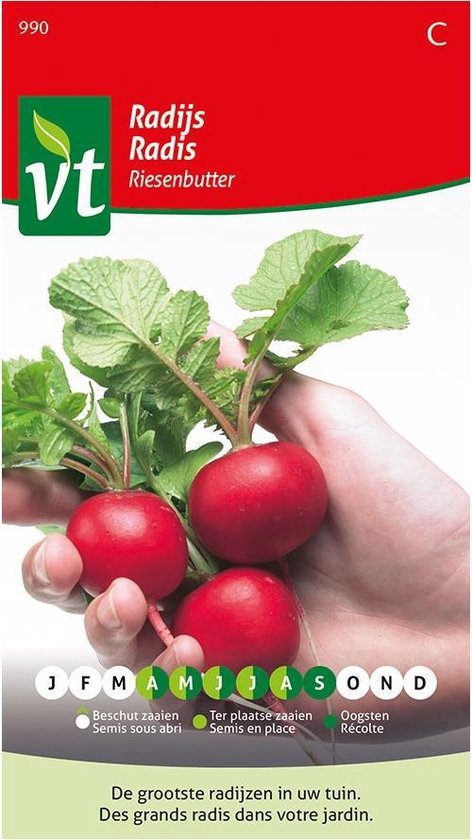 Radijs 'Riesenbutter' Zaden - Grote en Boterachtige Radijsjes voor ...