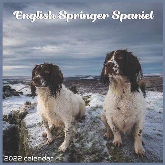 English Springer Spaniel Calendar 2022, Pro Calendar 2022-2023 ...