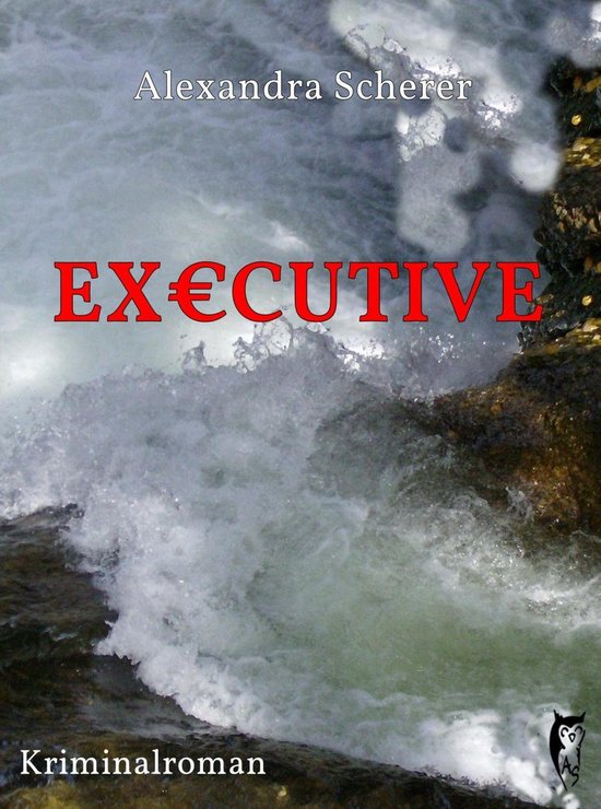 Executive (ebook), Alexandra Scherer | 9783752127065 | Boeken | bol