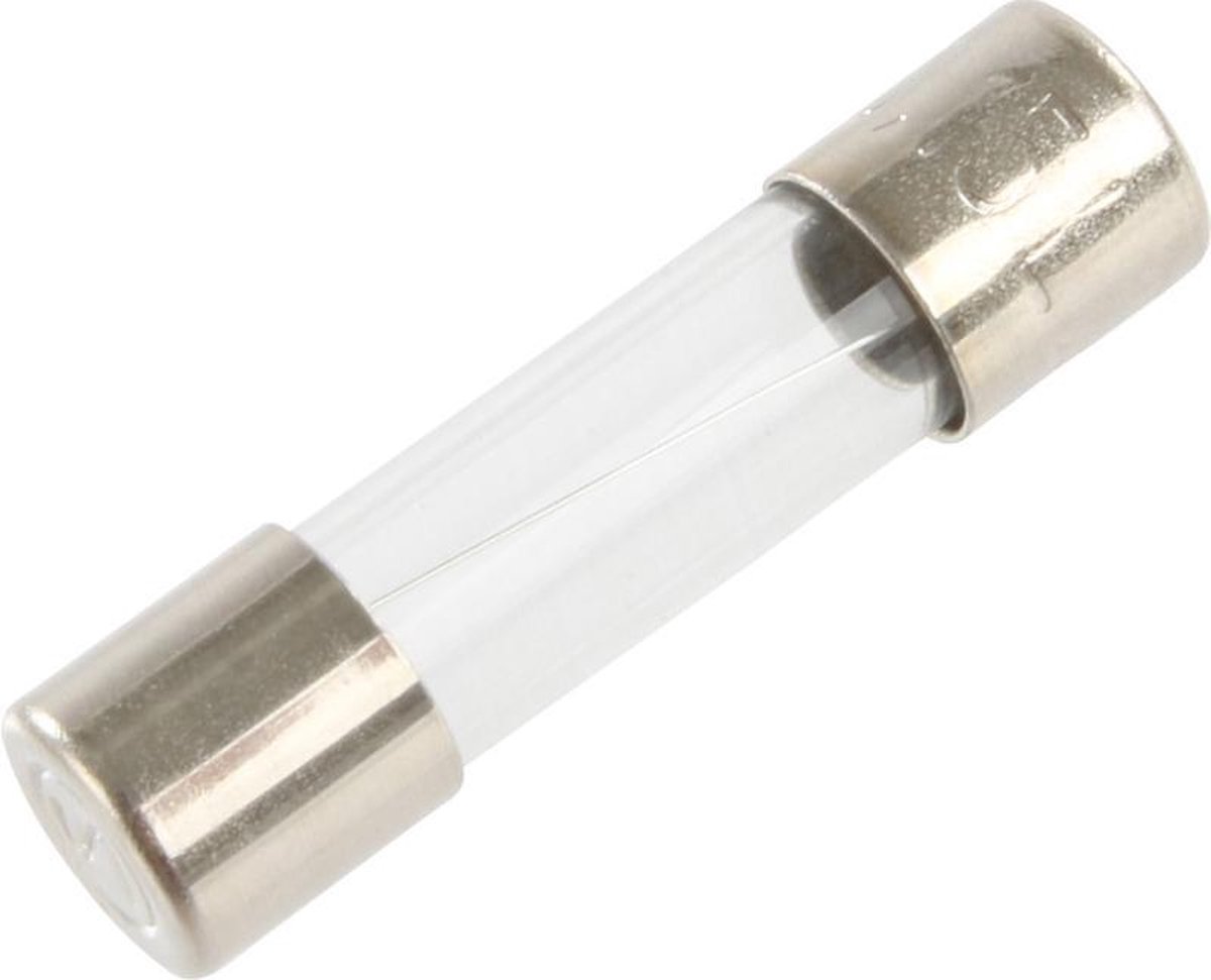 2x Glaszekering F4A - 250V - 20x5mm | bol.com