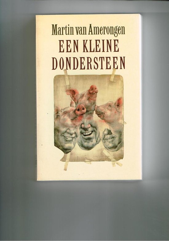 Een kleine dondersteen, Martin van Amerongen | 9789029500777 | Boeken ...
