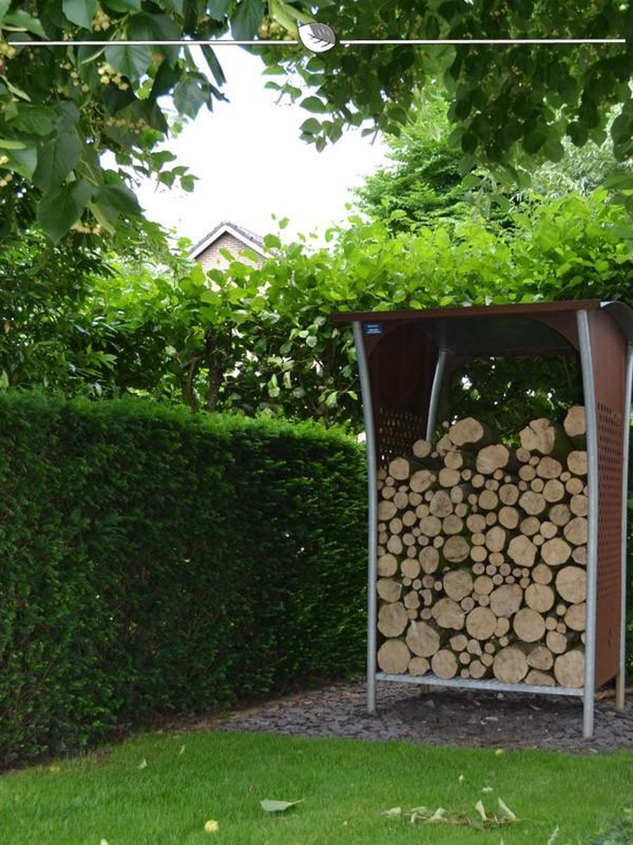 Venijnboom Taxus baccata 40-60 cm, 10x Haagplant | bol.com