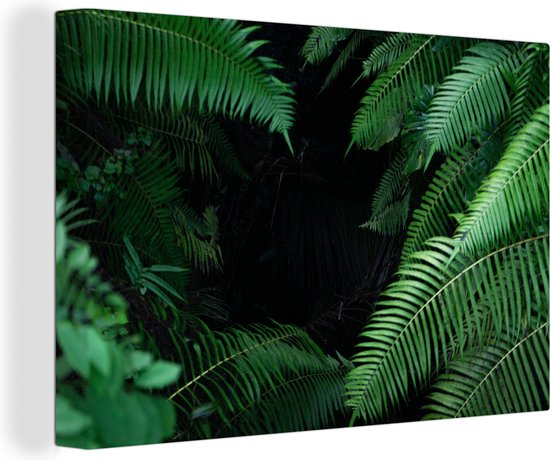 Canvas Schilderij Tropische varens in het regenwoud - 140x90 cm - Wanddecoratie | bol