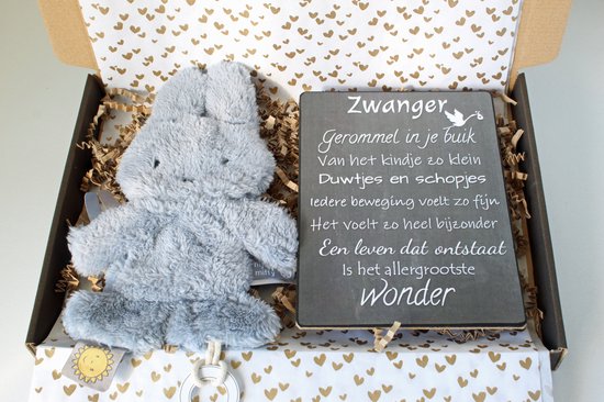 Brievenbus cadeau Nijntje Fluffy Blue - cadeau zwangerschap - cadeau ...