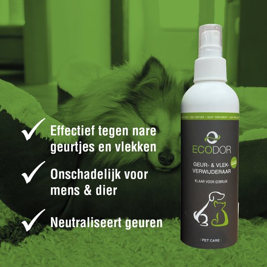 Ecodor Geur- & Vlekverwijderaar - 2500ml- Tegen de geur en vlekken van ...