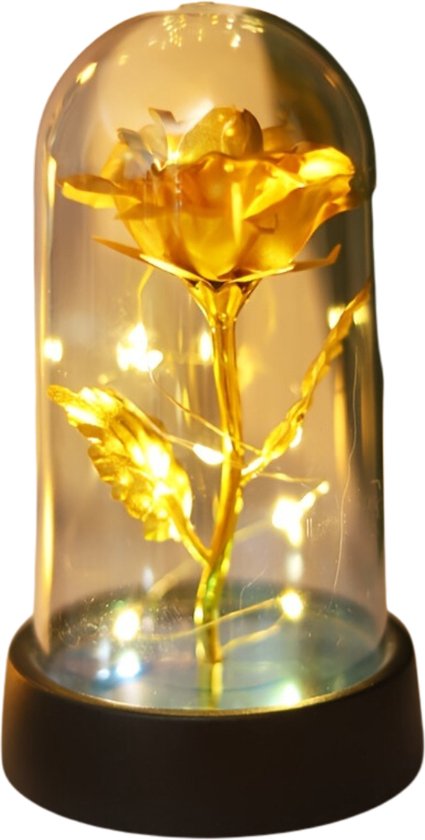 Roos In Glas - In Stolp - Galaxy - Roos In Glazen Stolp - Roos In Doos ...
