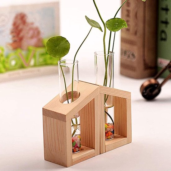 2 stuks reageerbuisjes vaas van hout, hydrocultuur vaas met houten ...