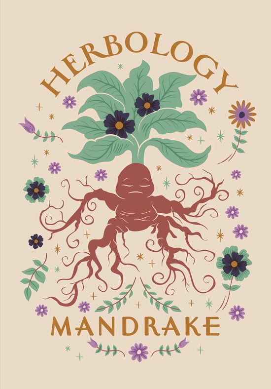 Harry Potter- Harry Potter: Mandrake Embroidered Journal, Insights ...