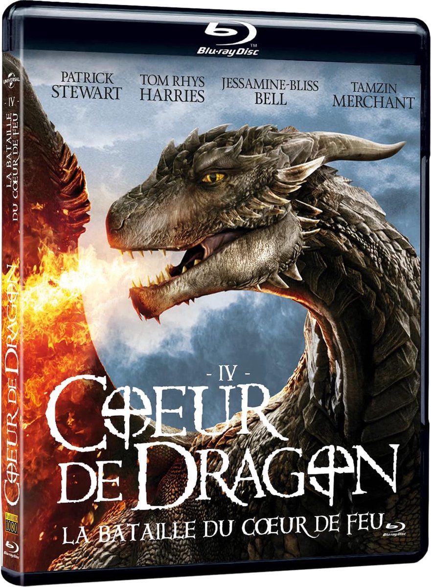 Coeur de dragon 4 : La Bataille du coeur de feu (DragonHeart IV) (Dvd ...